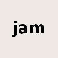 jam是什么意思_jam的用法_例句_短语搭配-汉词网